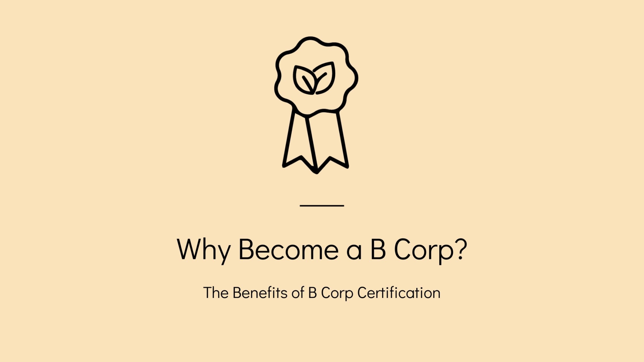 B Corp Requirements: The Essential Guide to Certification