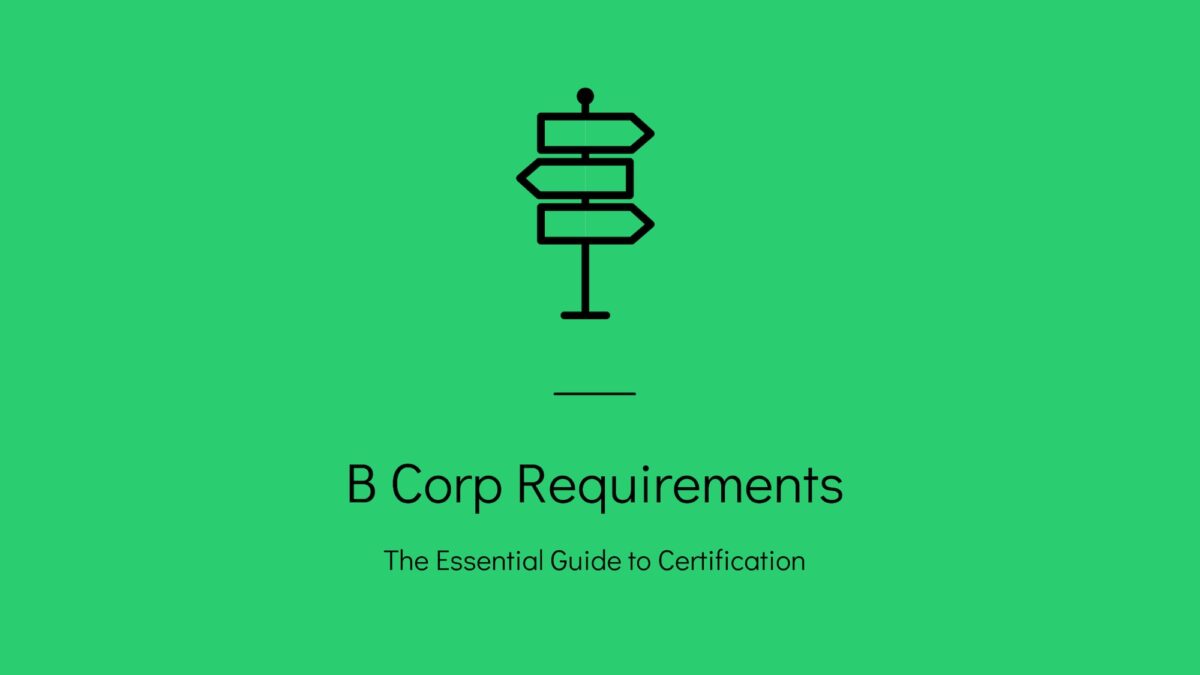 B Corp Requirements: The Essential Guide to Certification - Cultivating ...