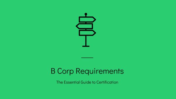 B Corp Requirements: The Essential Guide to Certification - Cultivating ...