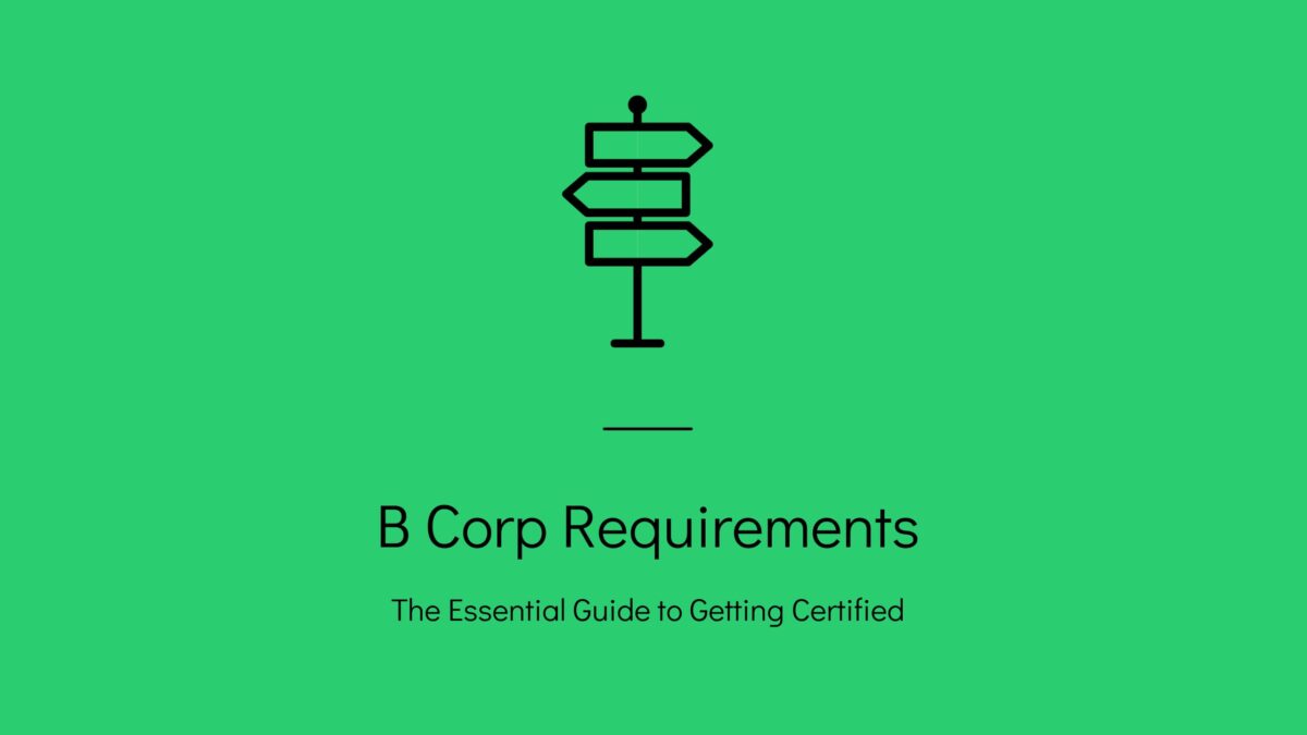 The New B Corp Standards: What You Need to Know