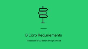 How A Sustainability Framework Can Improve Your Business