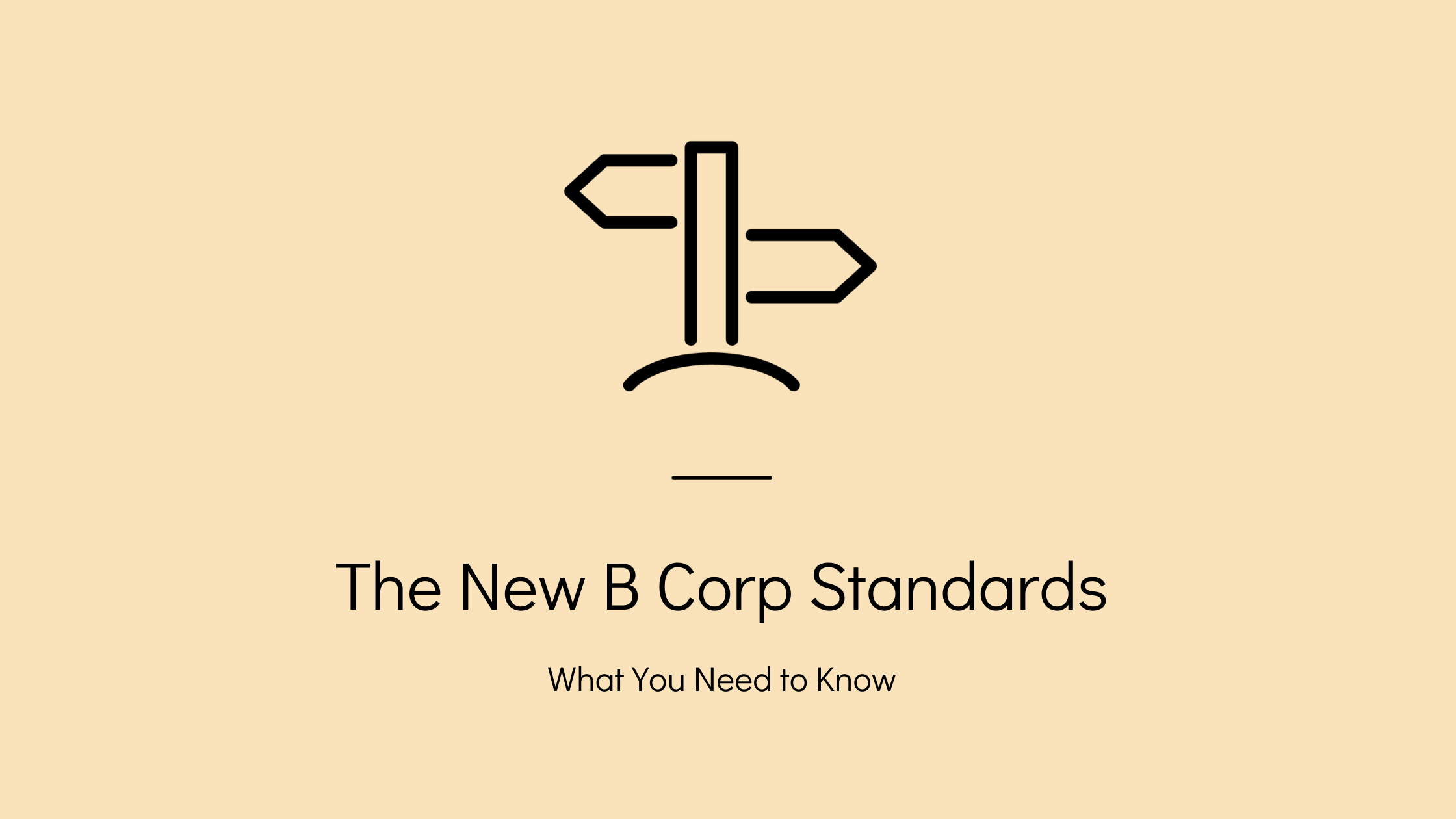 The New B Corp Standards: What You Need to Know